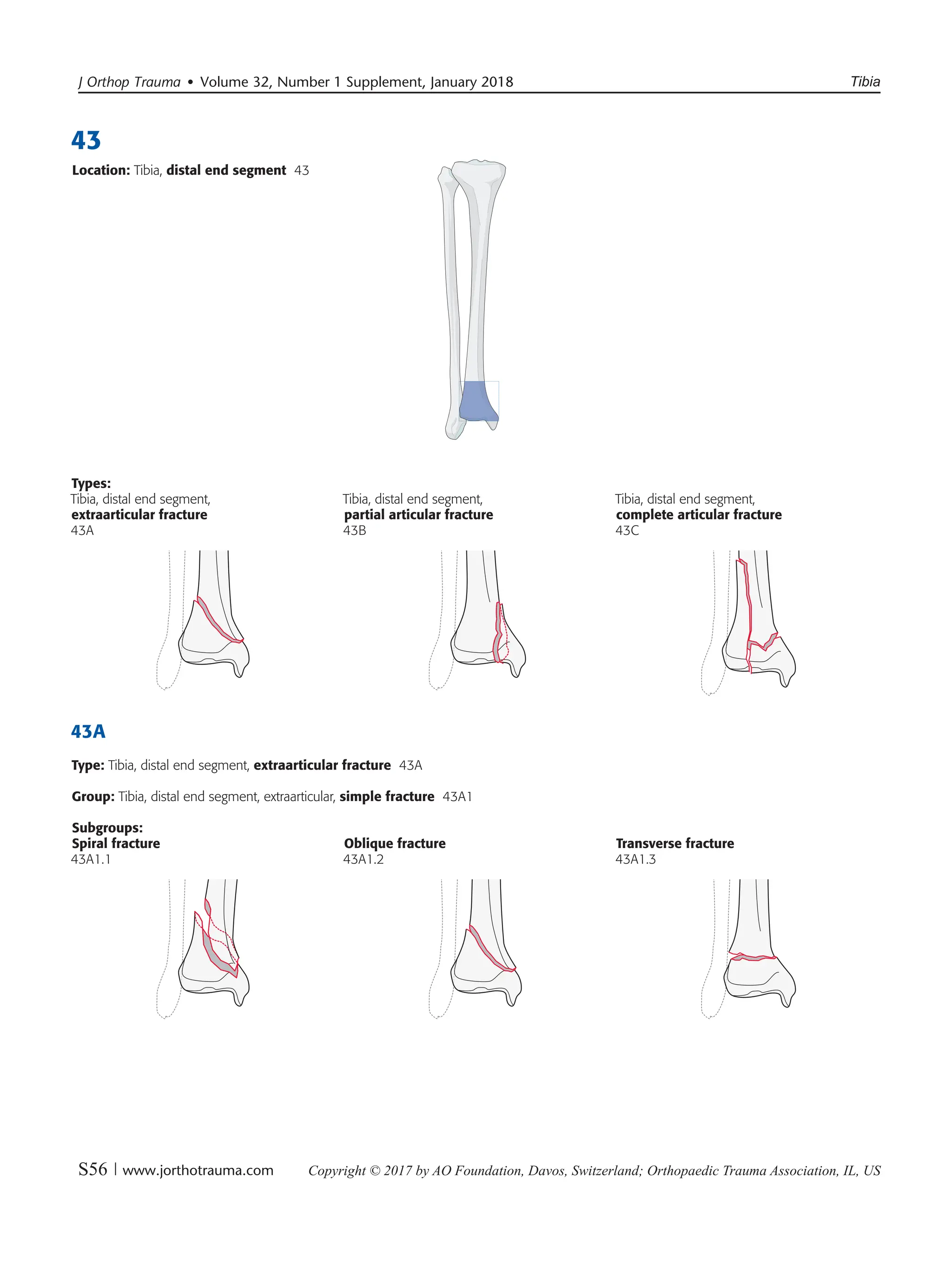 AOOTA_Classification_2018_Compendium clasificacion ao de fracturas en ...