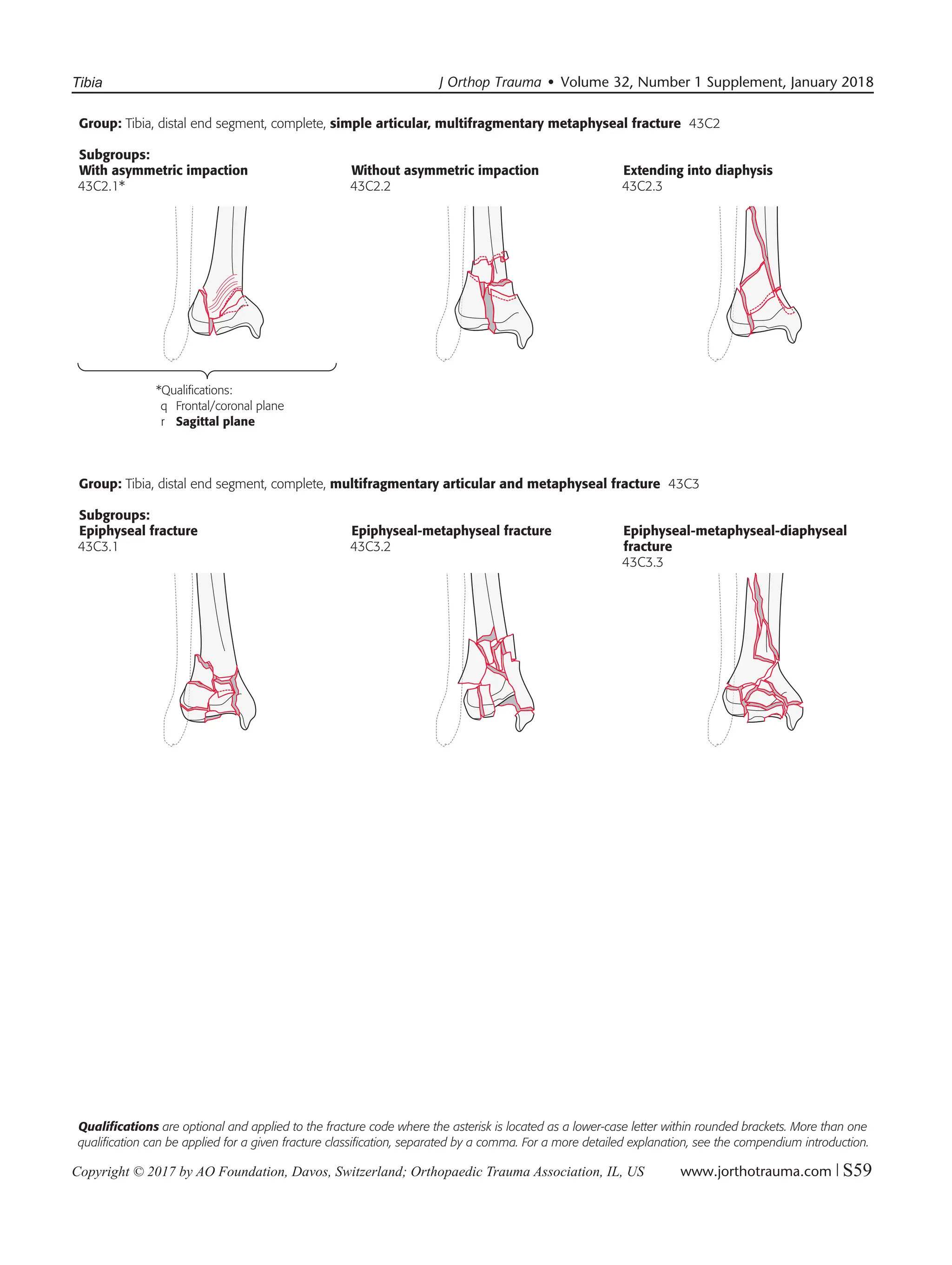 AOOTA_Classification_2018_Compendium clasificacion ao de fracturas en ...