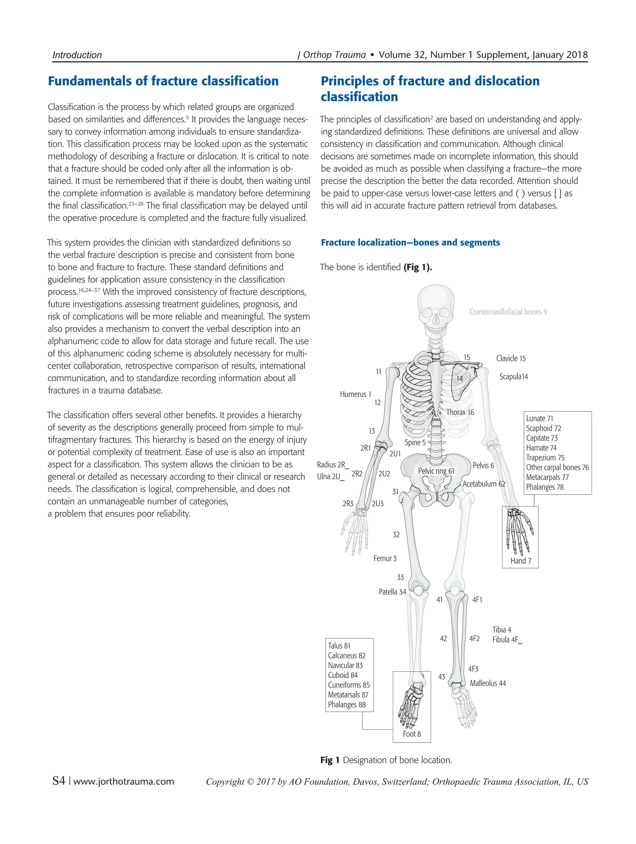 AOOTA_Classification_2018_Compendium clasificacion ao de fracturas en ...
