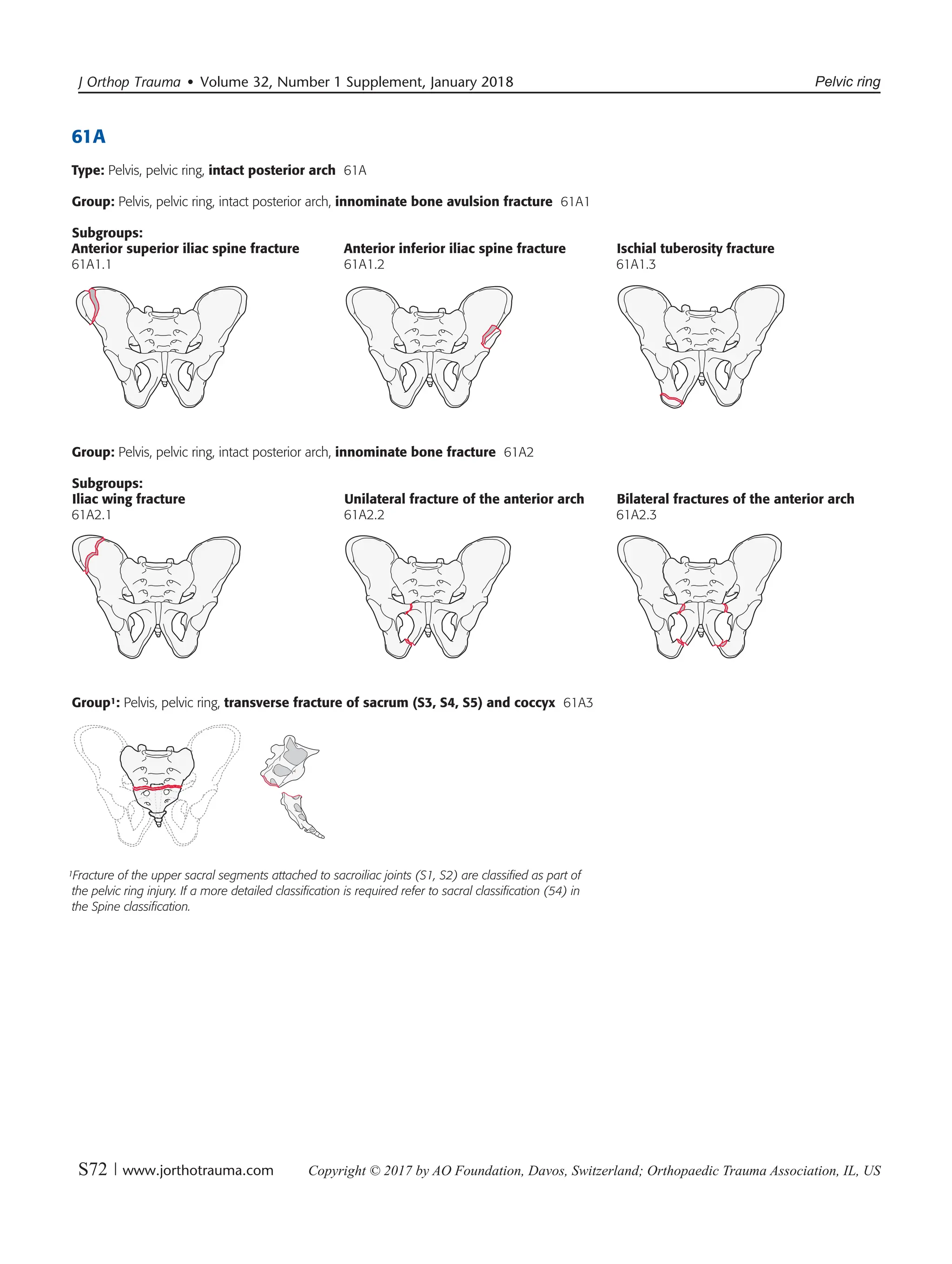 AOOTA_Classification_2018_Compendium clasificacion ao de fracturas en ...