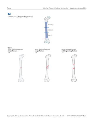 AOOTA_Classification_2018_Compendium clasificacion ao de fracturas en ...