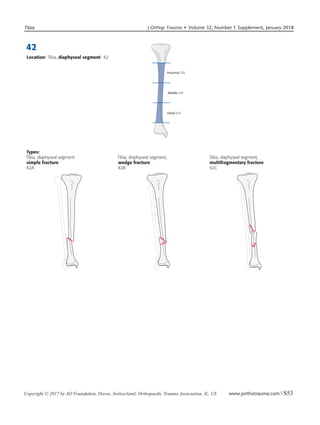 AOOTA_Classification_2018_Compendium clasificacion ao de fracturas en ...
