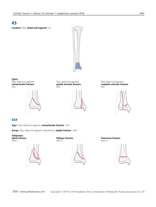 AOOTA_Classification_2018_Compendium clasificacion ao de fracturas en ...