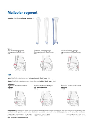 AOOTA_Classification_2018_Compendium clasificacion ao de fracturas en ...