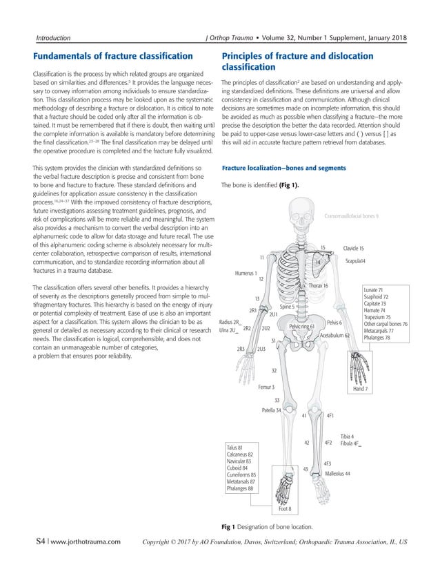 AOOTA_Classification_2018_Compendium clasificacion ao de fracturas en ...