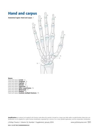 AOOTA_Classification_2018_Compendium clasificacion ao de fracturas en ...