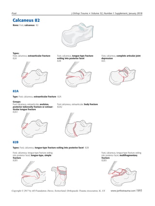 AOOTA_Classification_2018_Compendium clasificacion ao de fracturas en ...