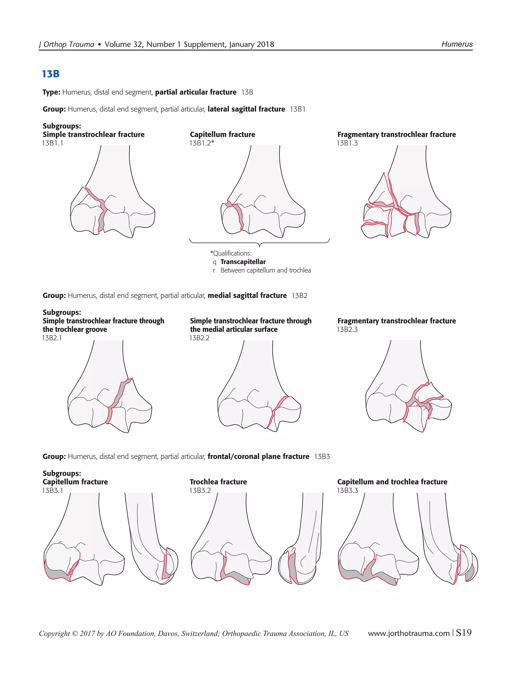 AOOTA Classification Compendium 2018.pdf