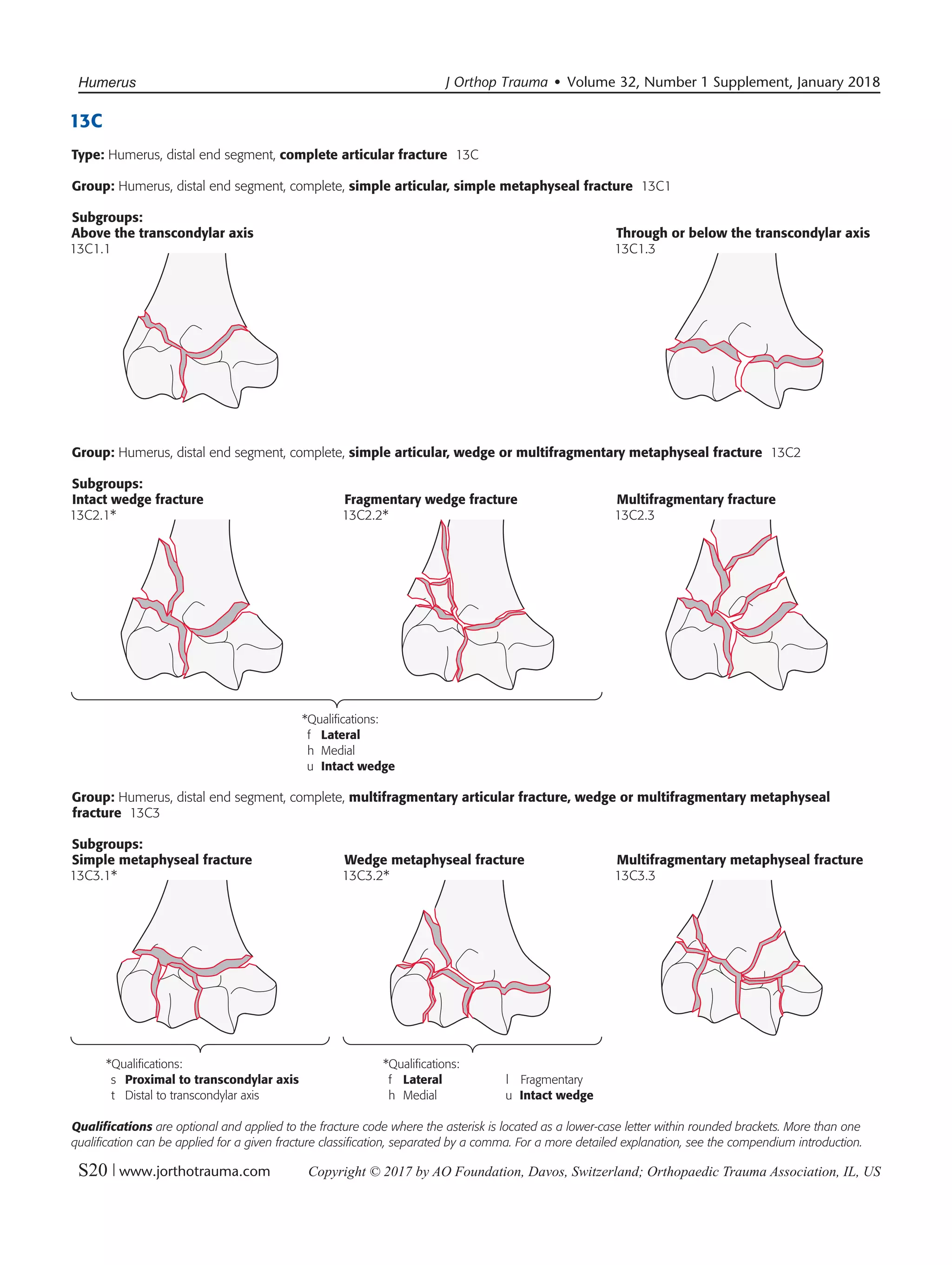 AOOTA Classification Compendium 2018.pdf