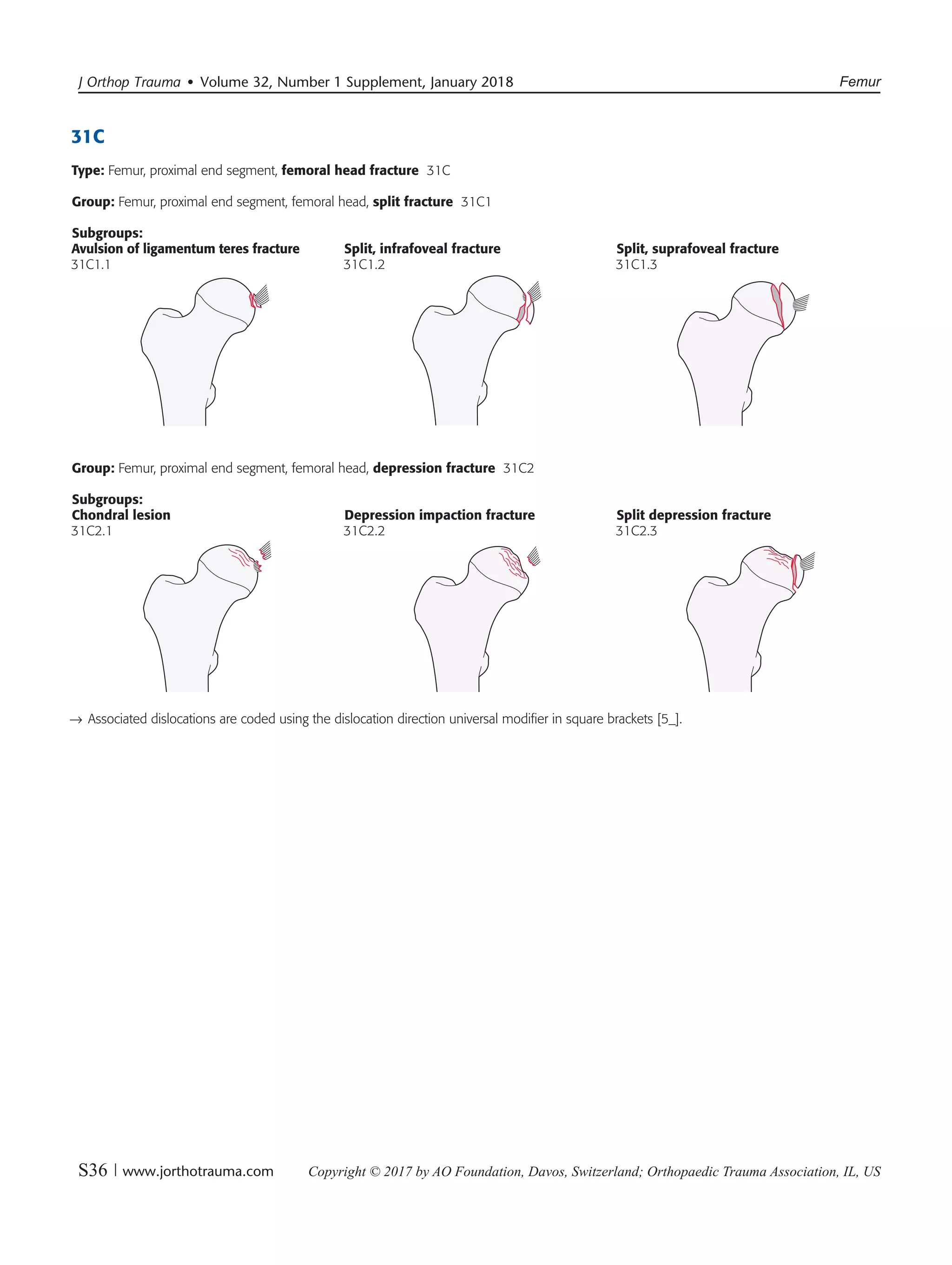 AOOTA Classification Compendium 2018.pdf