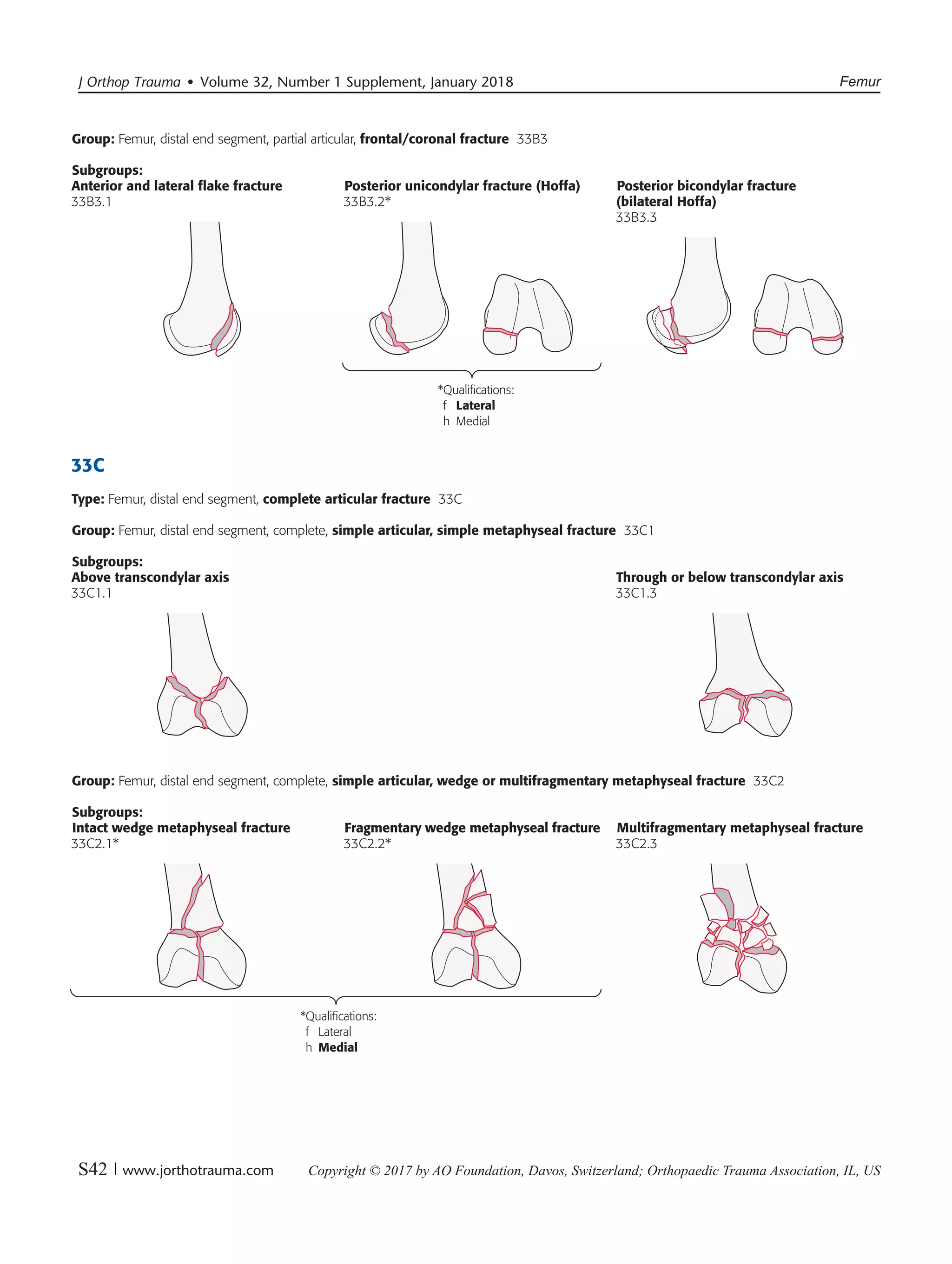 AOOTA Classification Compendium 2018.pdf