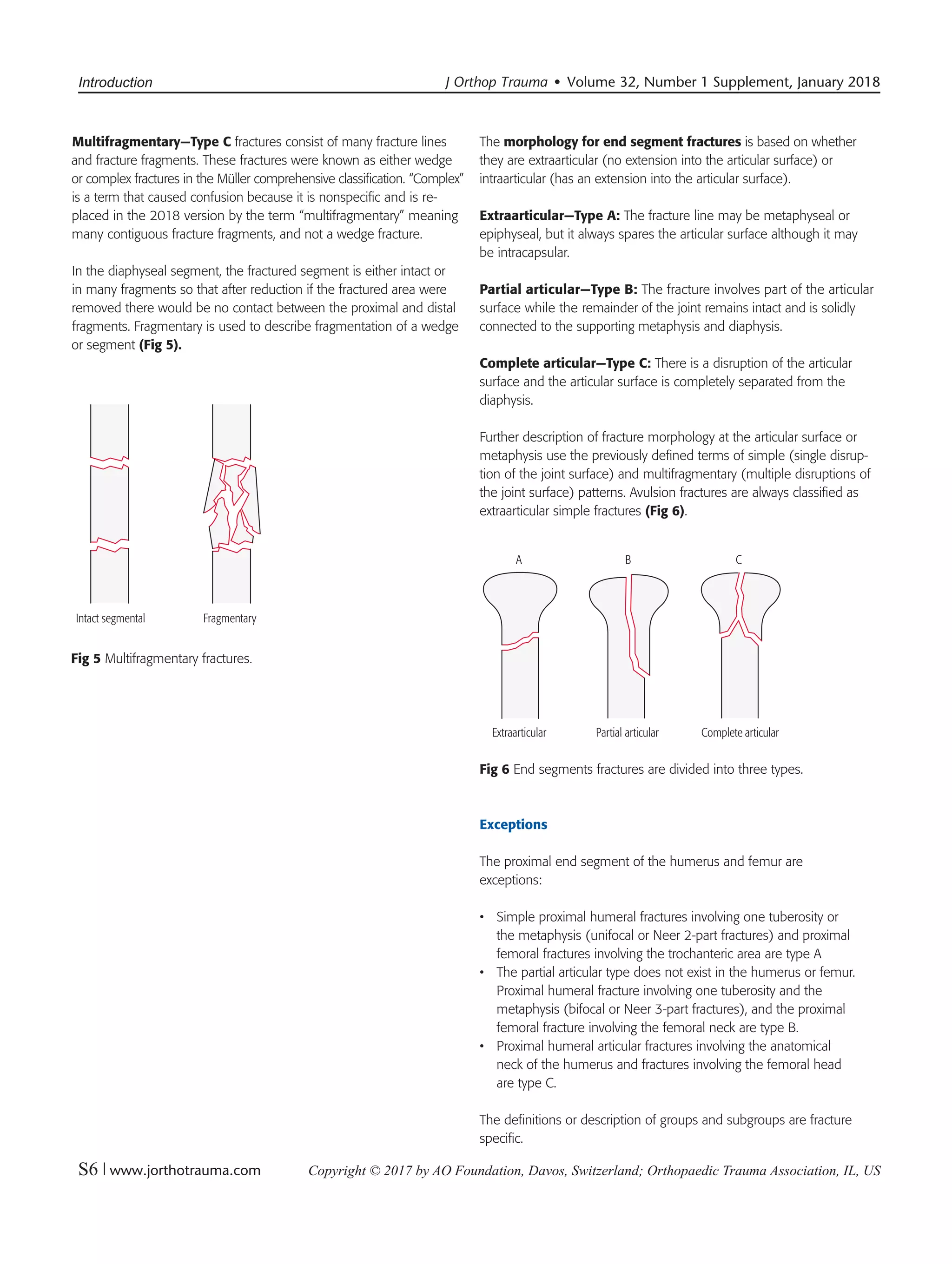 AOOTA Classification Compendium 2018.pdf
