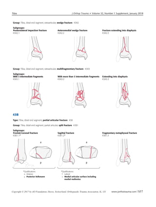 AOOTA Classification Compendium 2018.pdf