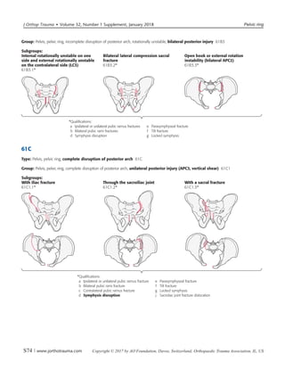 AOOTA Classification Compendium 2018.pdf