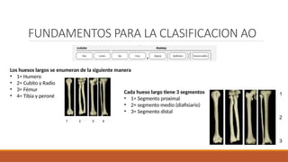 AO OTA listo.ppt traumatologia y ortopedia | PPTX