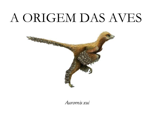 A Origem da Aves