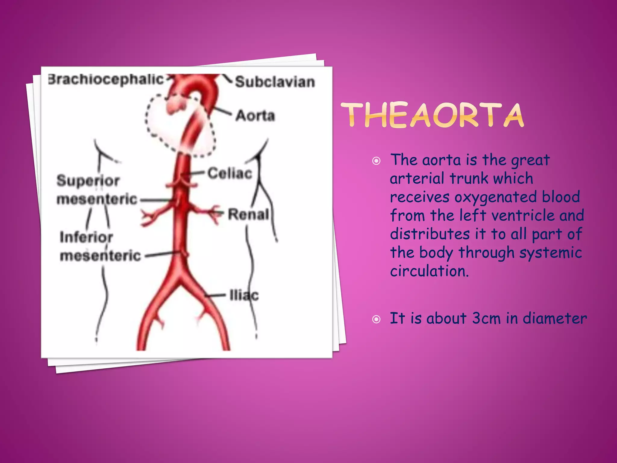Aorta | PPTX