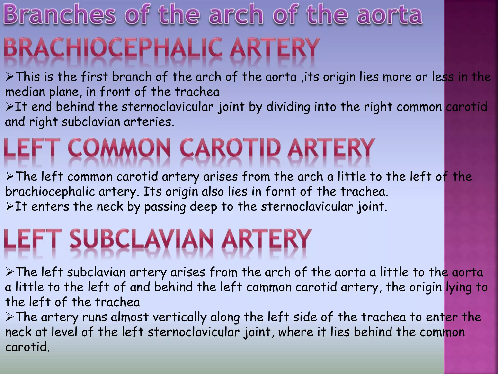Aorta | PPTX