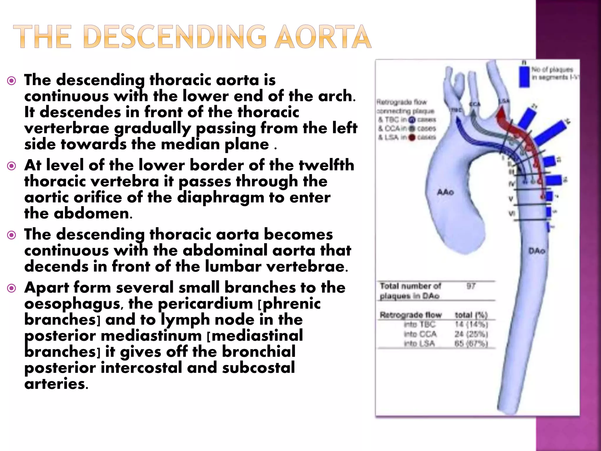 Aorta | PPTX