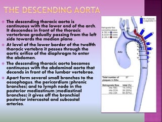 Aorta | PPT