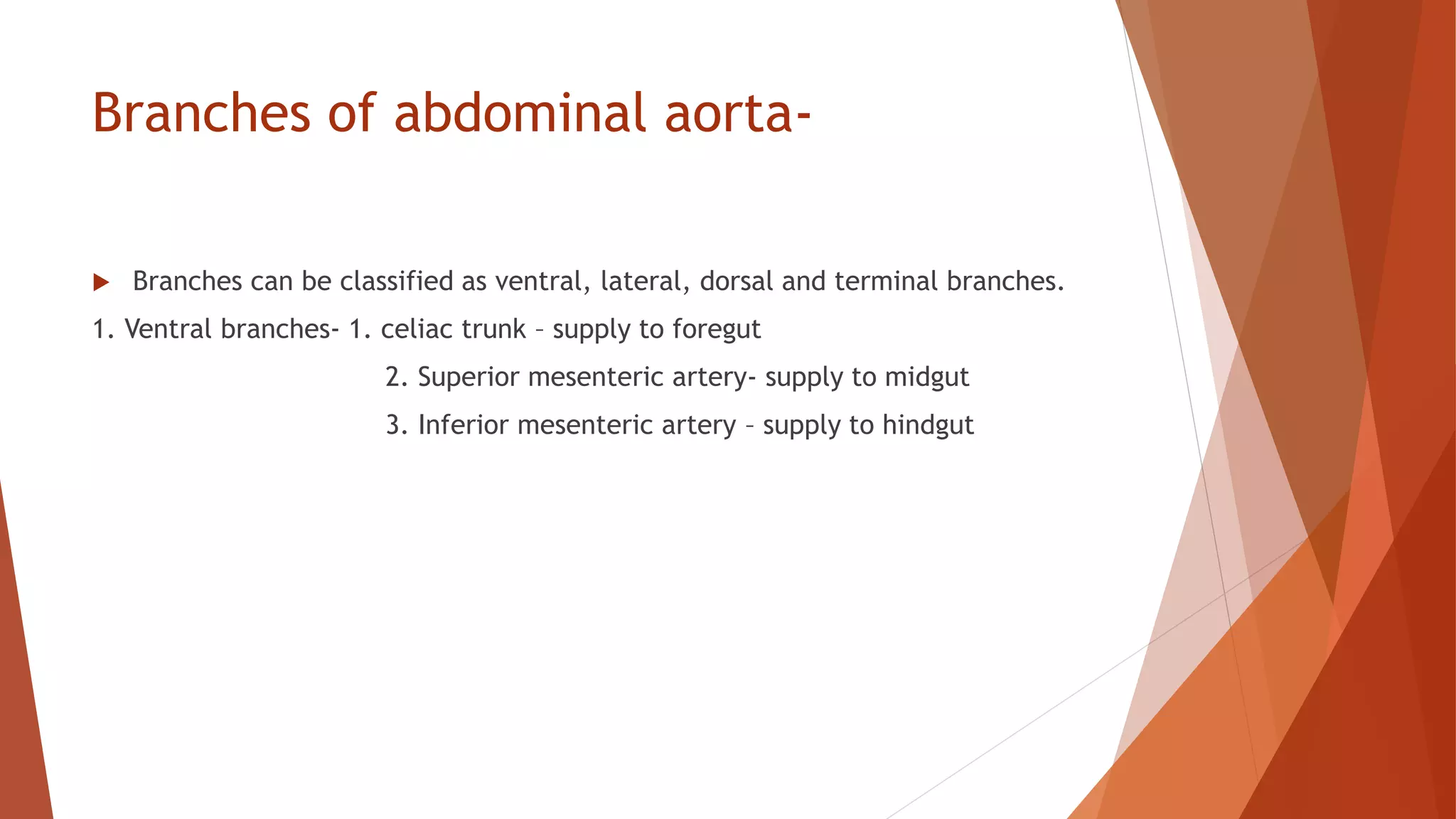 Aorta by Dr. Karle Geetanjali | PPTX