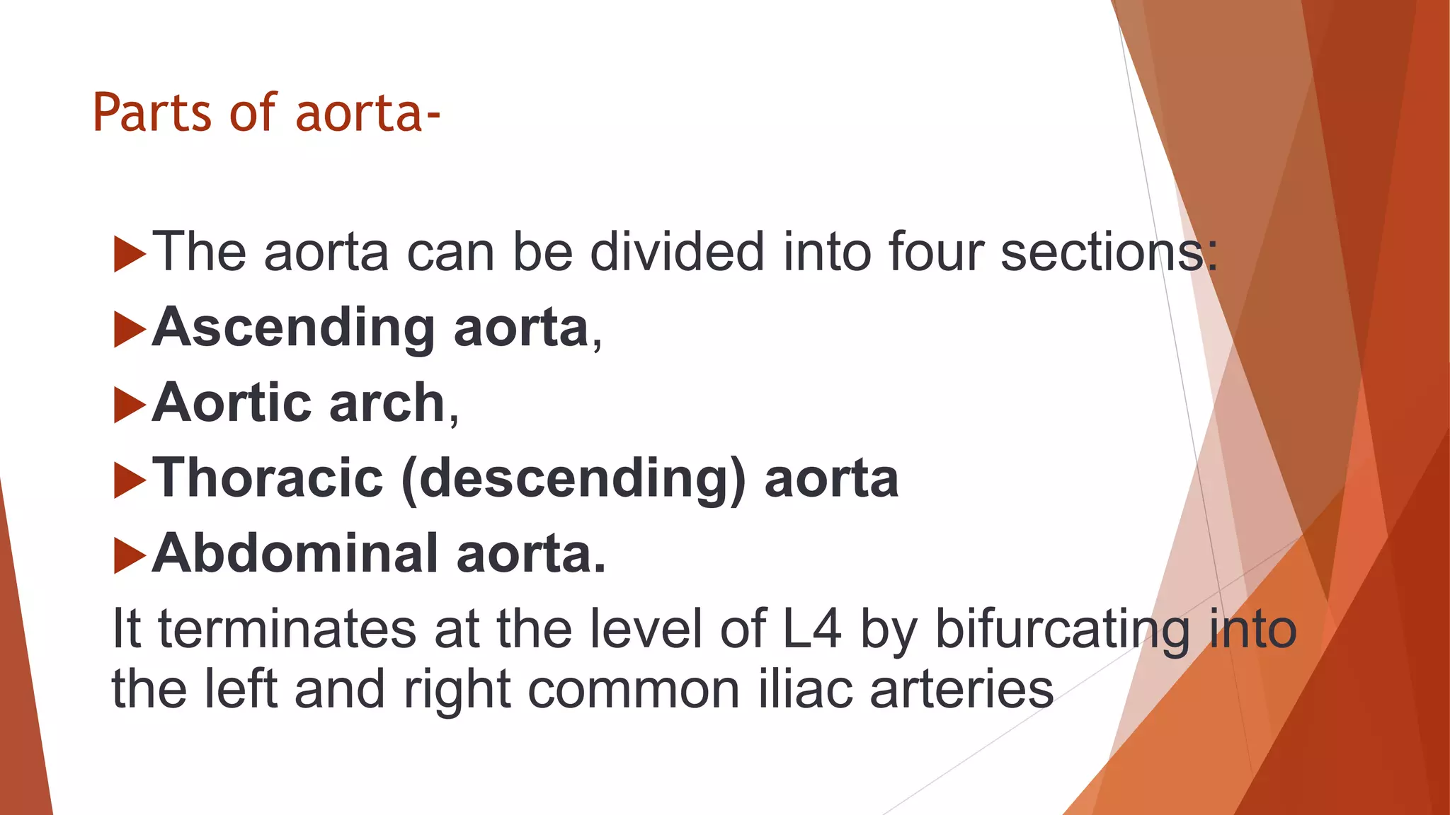 Aorta by Dr. Karle Geetanjali | PPTX