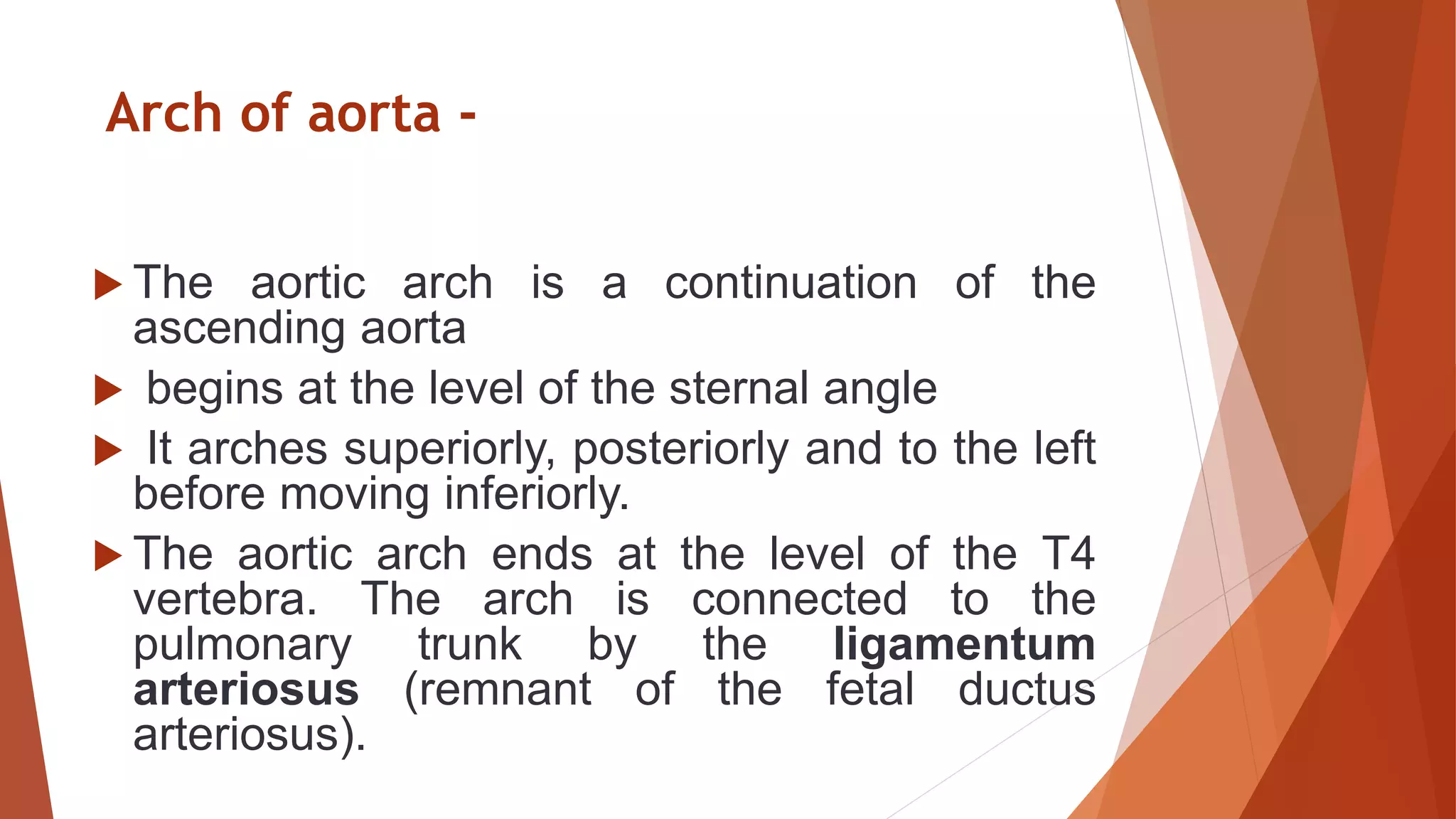 Aorta by Dr. Karle Geetanjali | PPTX