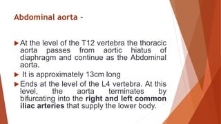 Aorta by Dr. Karle Geetanjali | PPTX