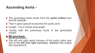 Aorta by Dr. Karle Geetanjali | PPTX