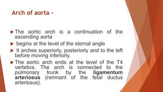 Aorta by Dr. Karle Geetanjali | PPTX