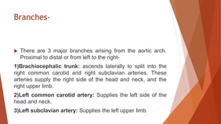 Aorta by Dr. Karle Geetanjali | PPTX