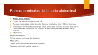 AORTA.pptx