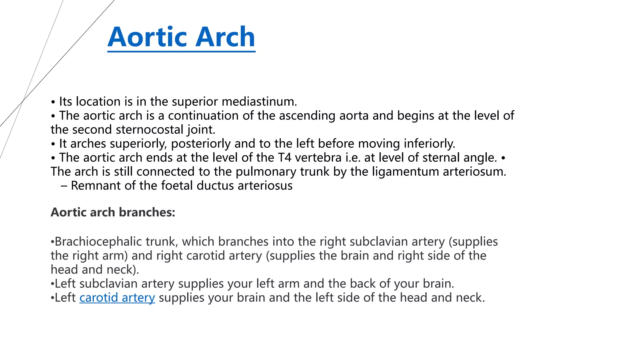 Aorta.pptx