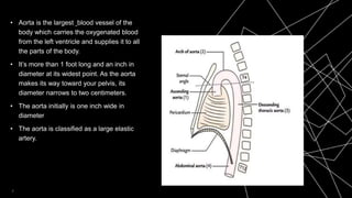 Aorta.pptx