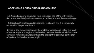 Aorta.pptx