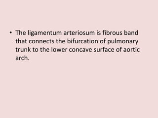 AORTA 2.pptx | Thyroid Disorders | Endocrine and Metabolic Diseases