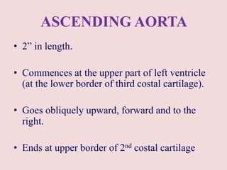 AORTA 2.pptx