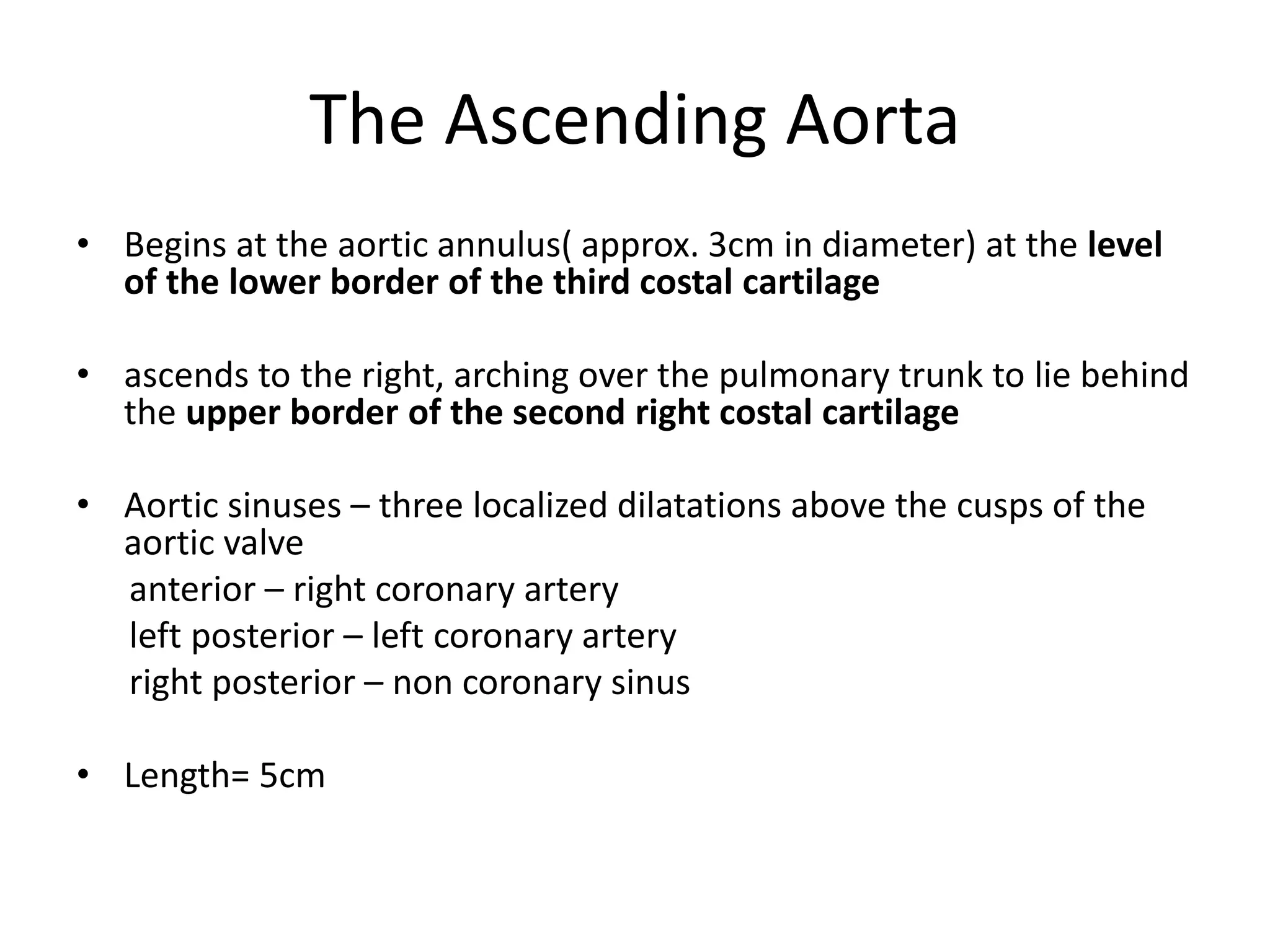 Aorta: anatomy and congenital anomalies | PPTX