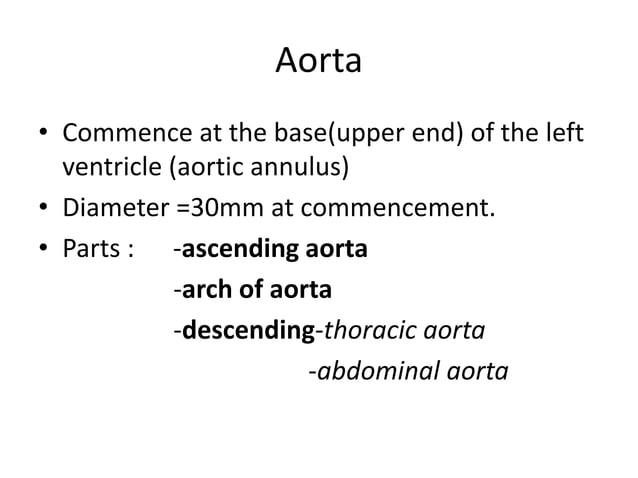 Aorta: anatomy and congenital anomalies | PPTX | Death, Injury, or ...