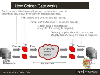 Aorta Golden Gate | PPT