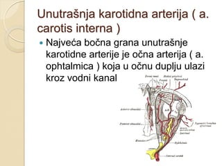 Aorta | PPT