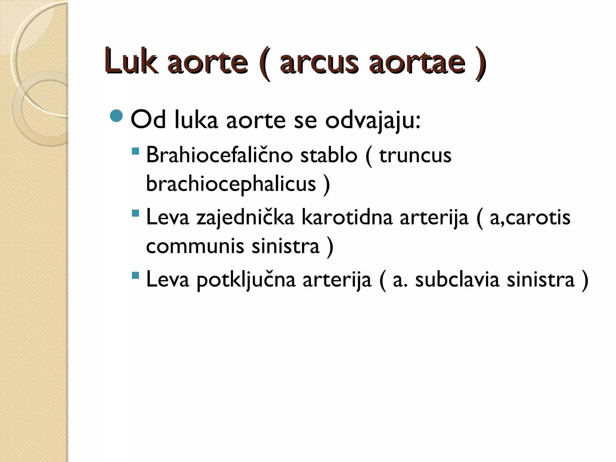 Aorta I deo | PPT