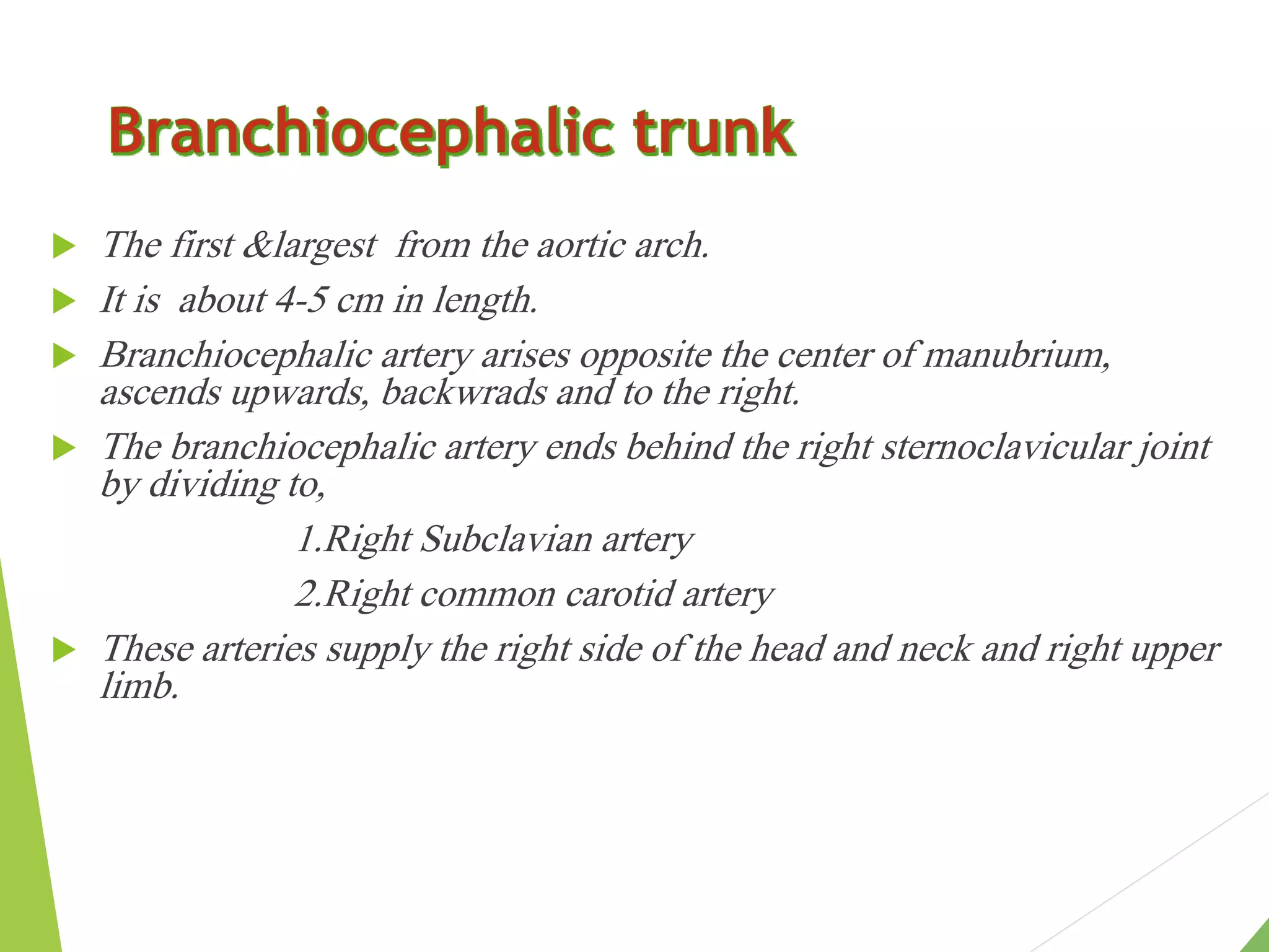 Aorta&its branches . pptx.pptx