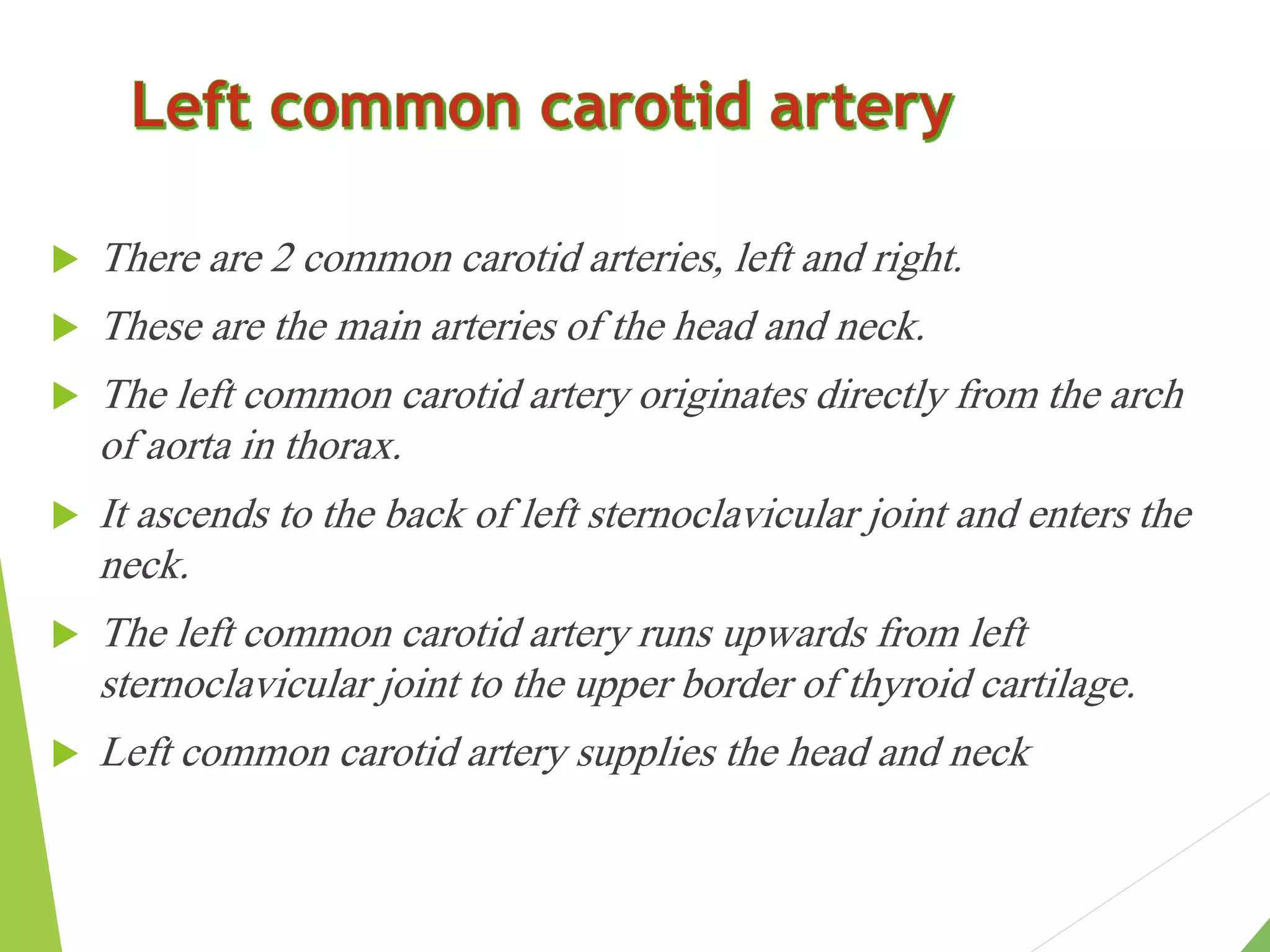 Aorta&its branches . pptx.pptx