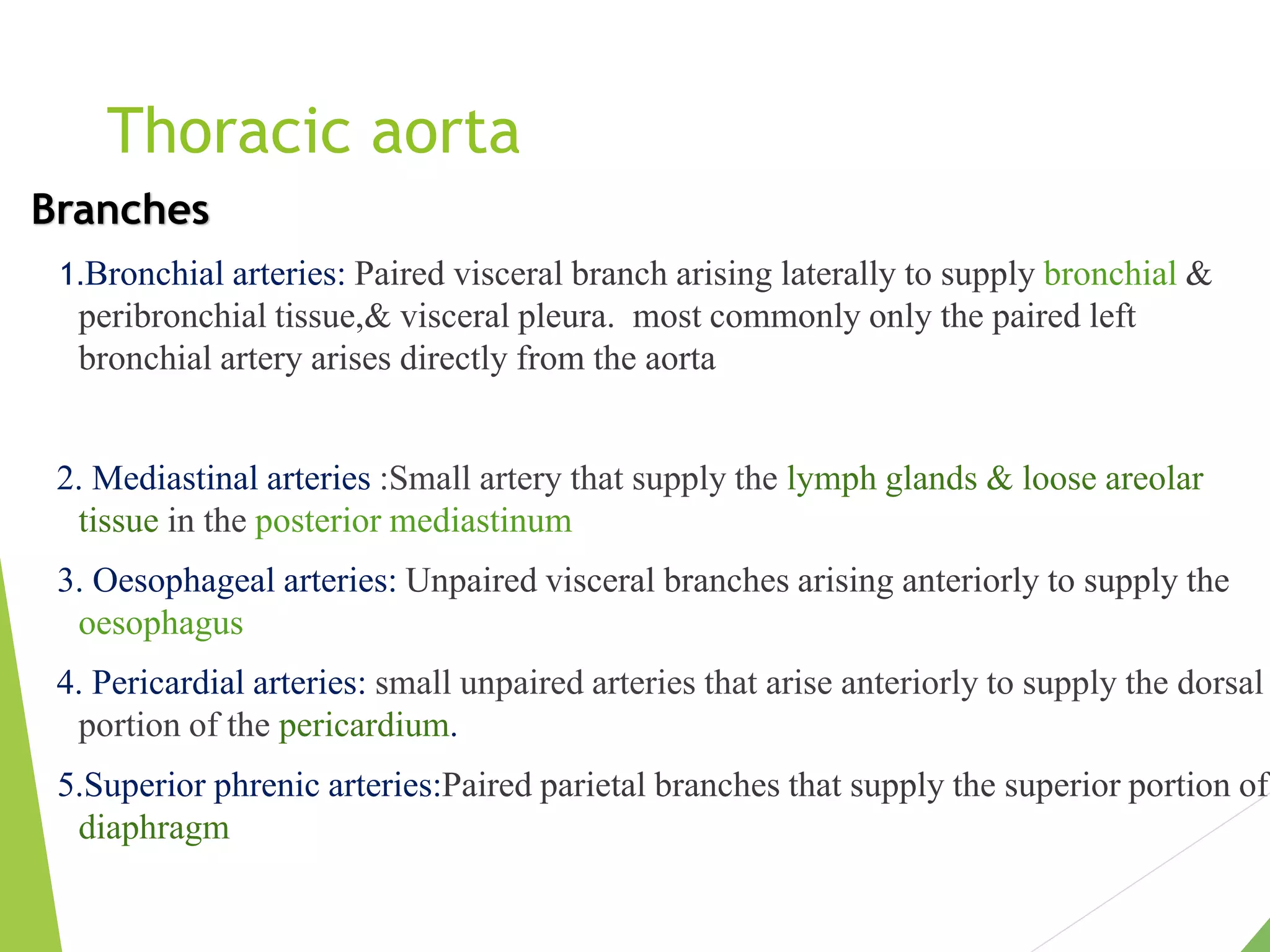 Aorta&its branches . pptx.pptx