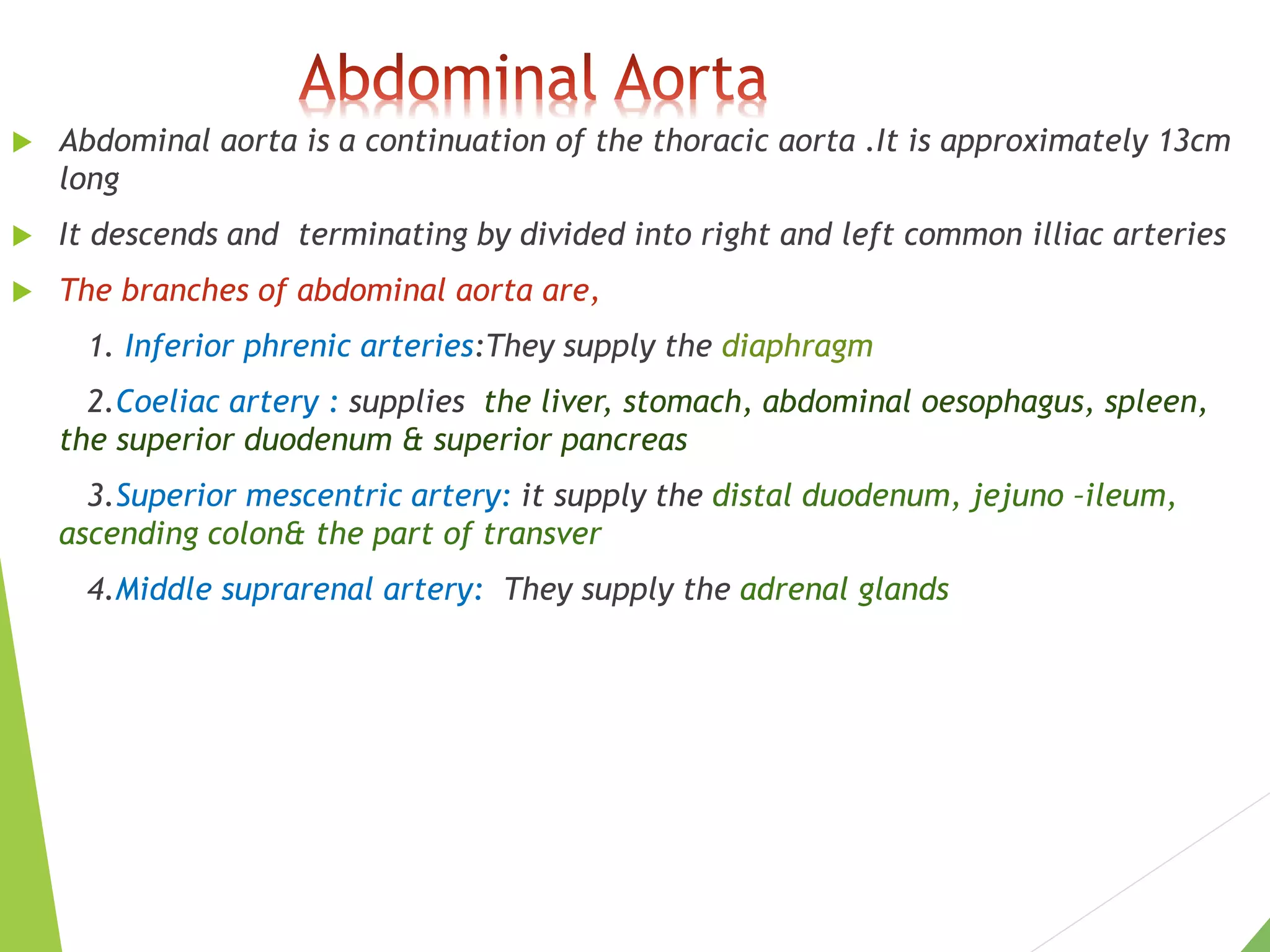 Aorta&its branches . pptx.pptx
