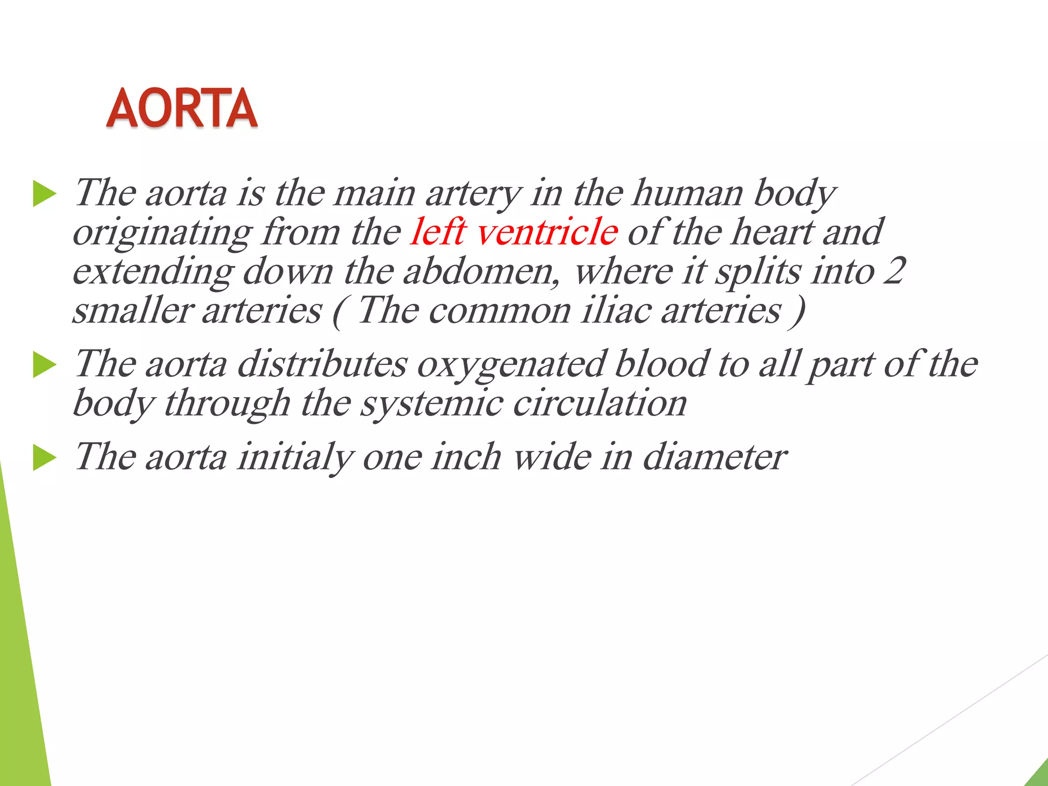 Aorta&its branches . pptx.pptx