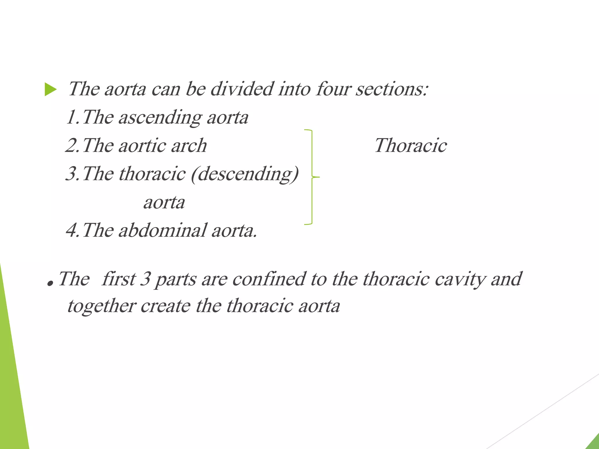 Aorta&its branches . pptx.pptx