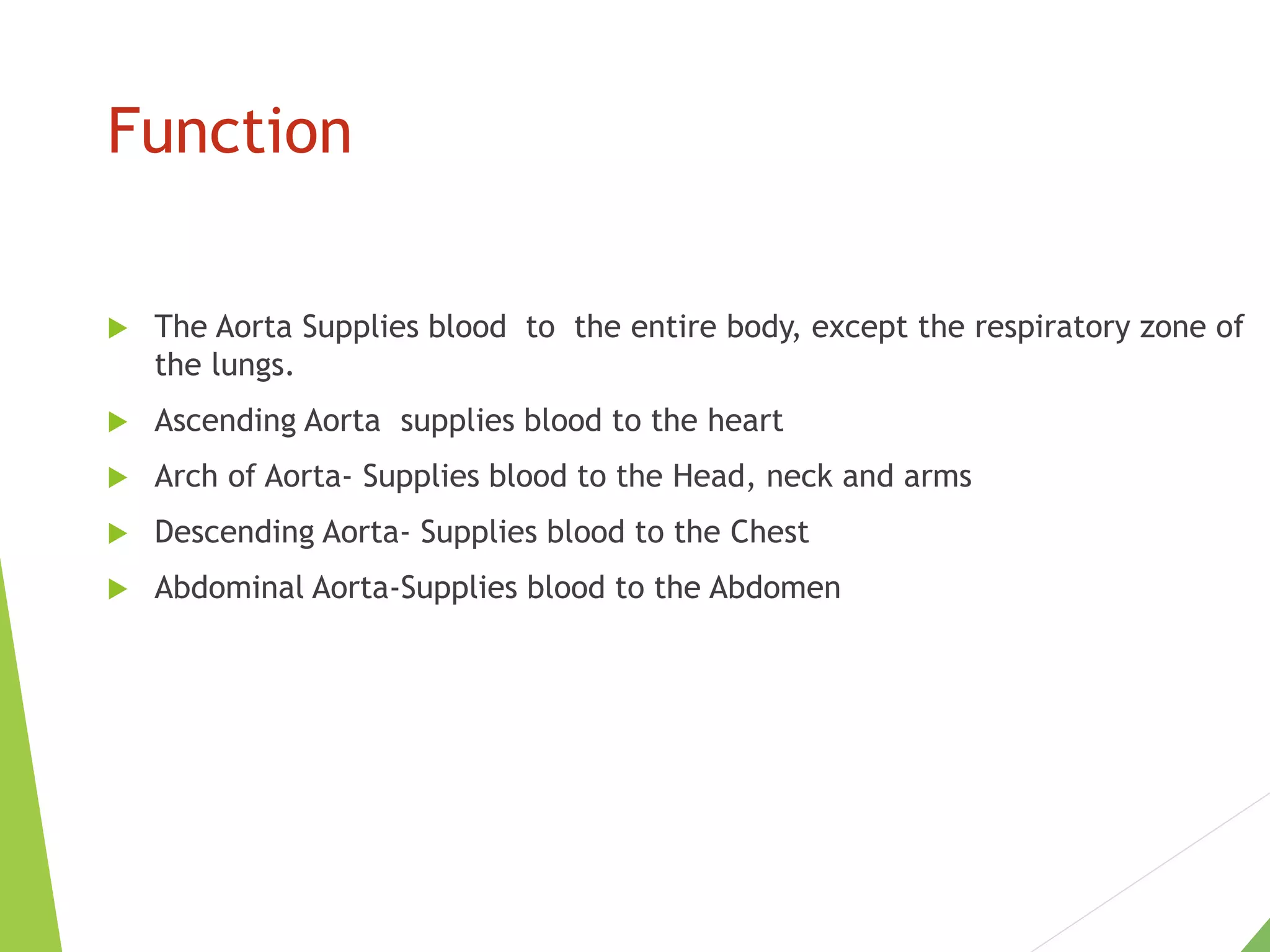 Aorta&its branches . pptx.pptx