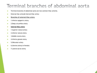 Aorta&its branches . pptx.pptx